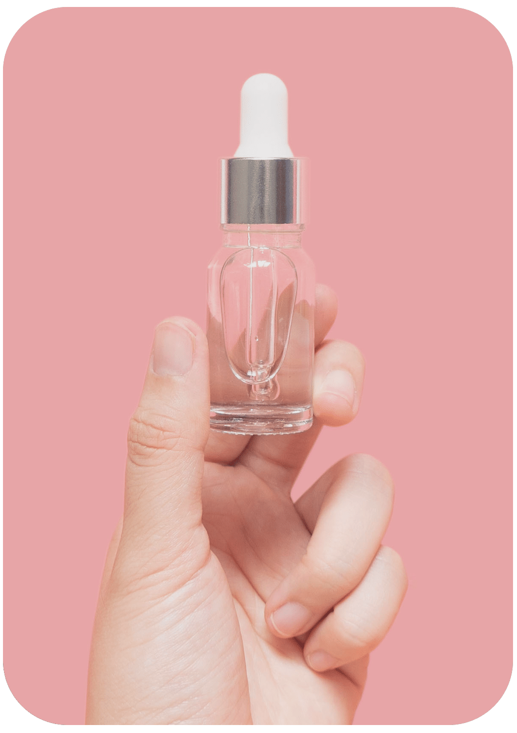 AllyOrganic: Certified Organic Specialty Products